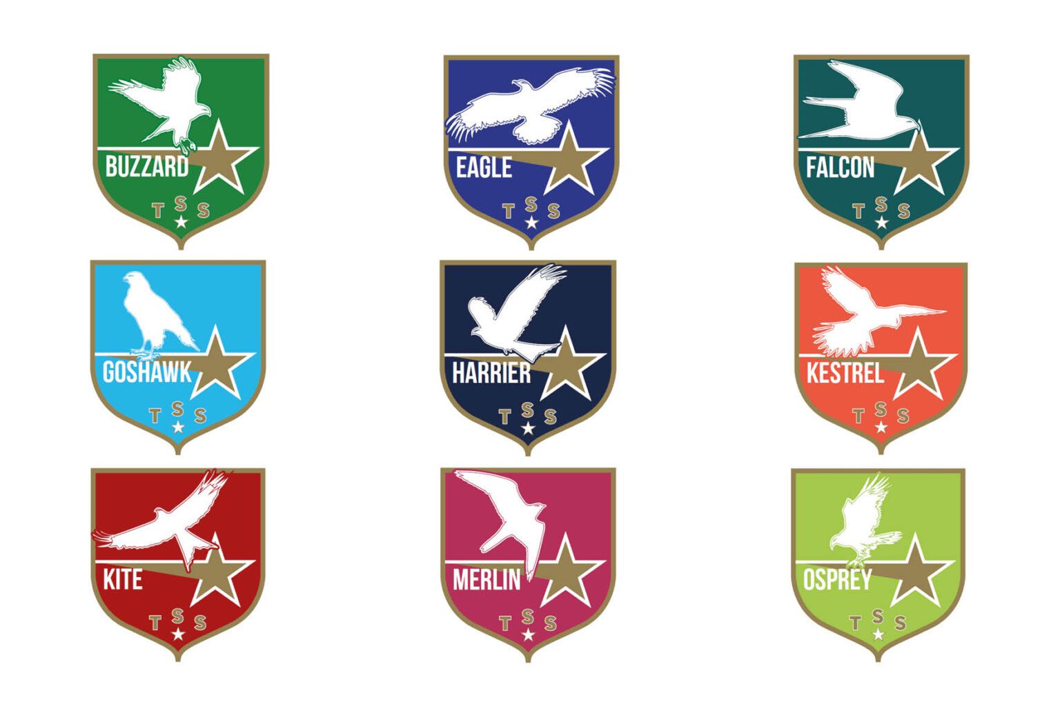 House System - Titus Salt School