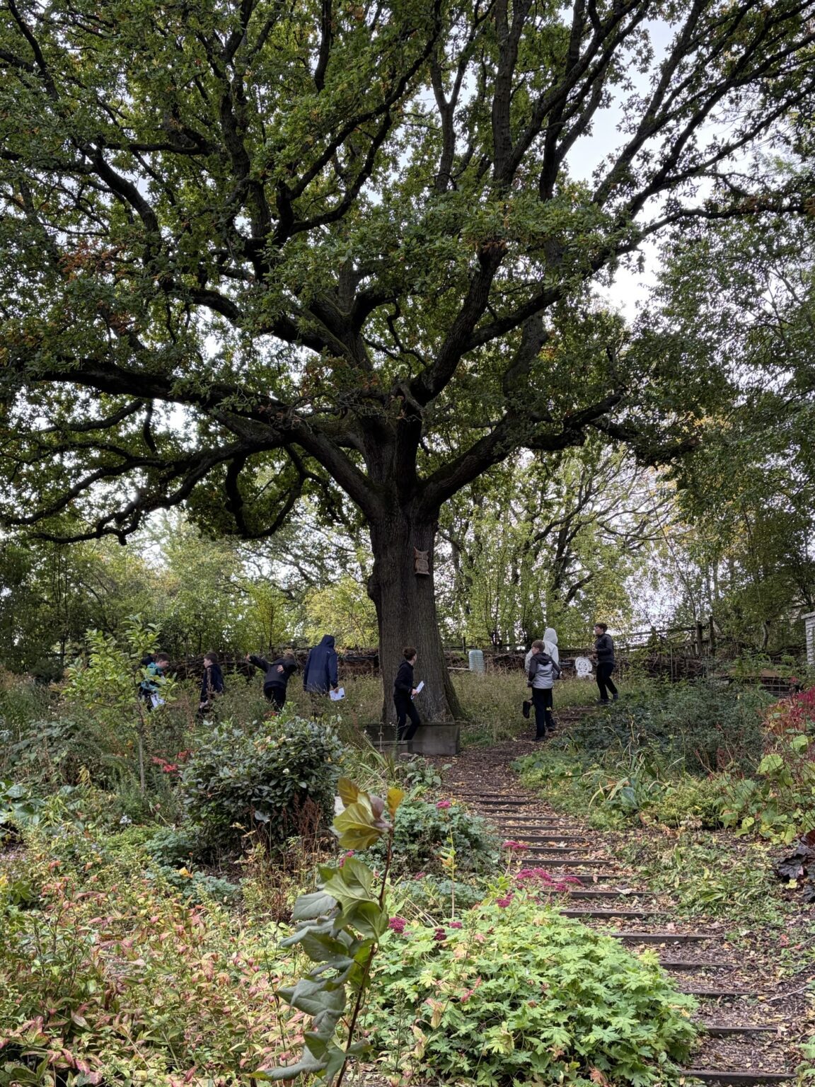 Year 8 Geography - Titus Salt School